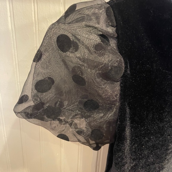 Zara | Dresses | Zara Black Velvet Dress With Shear Polka Dot Sheer ...